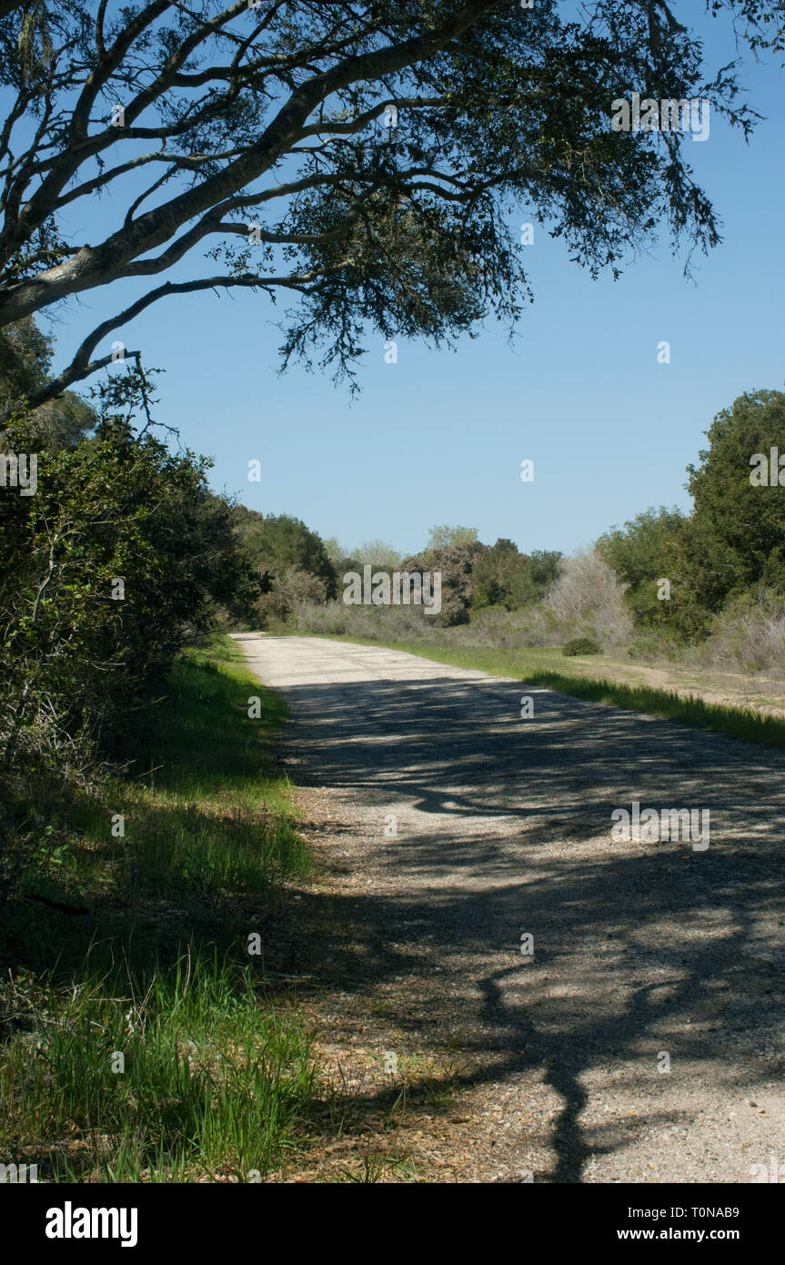 El camino real hi-res stock photography and images - Alamy