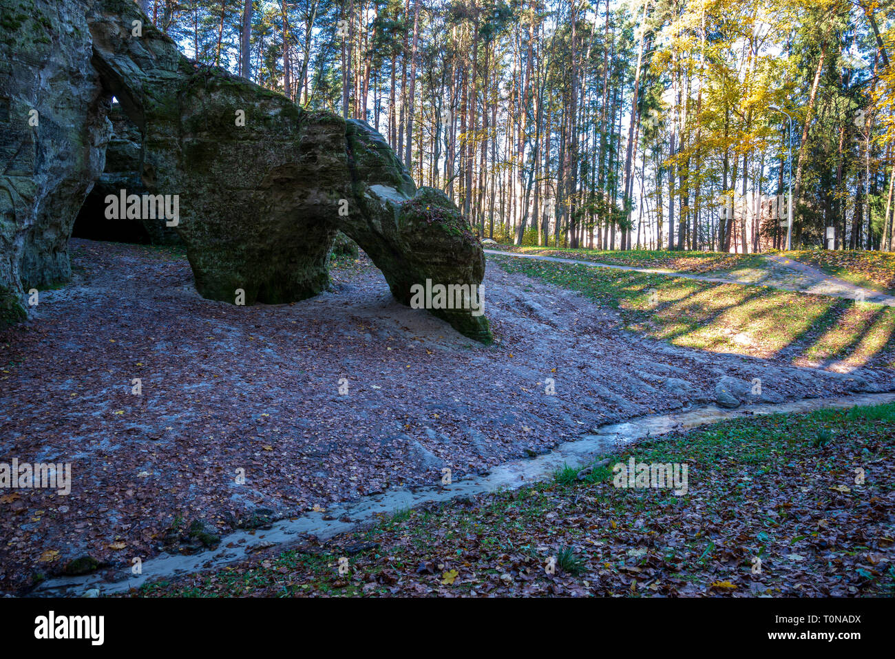 sandstone cliffs with natural caves in broad daylight it Latvia Stock ...