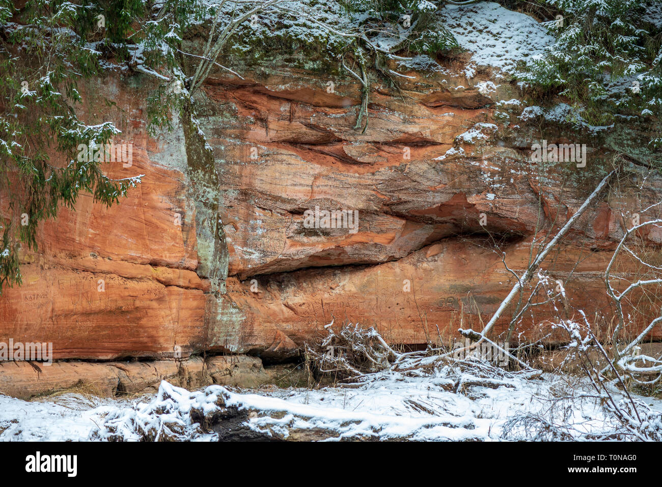 sandstone cliffs with natural caves in broad daylight it Latvia Stock ...