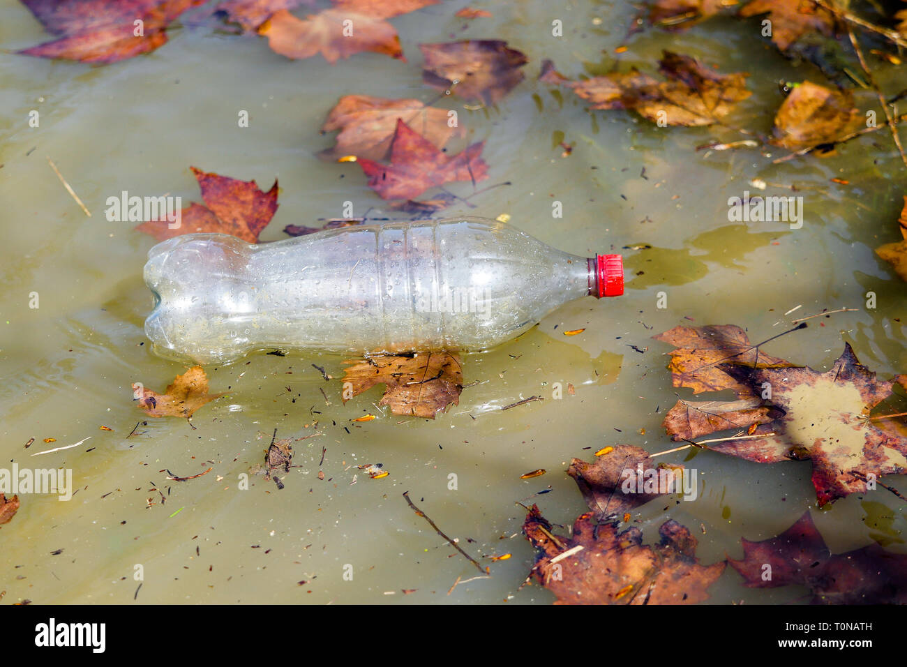 Plastic bottle floating on river Saone waters, Fontaine-sur Saone ...