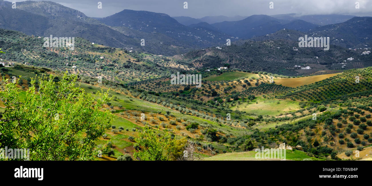 Panoramic view of the countryside around Axarquia, Malaga, Andalucia ...