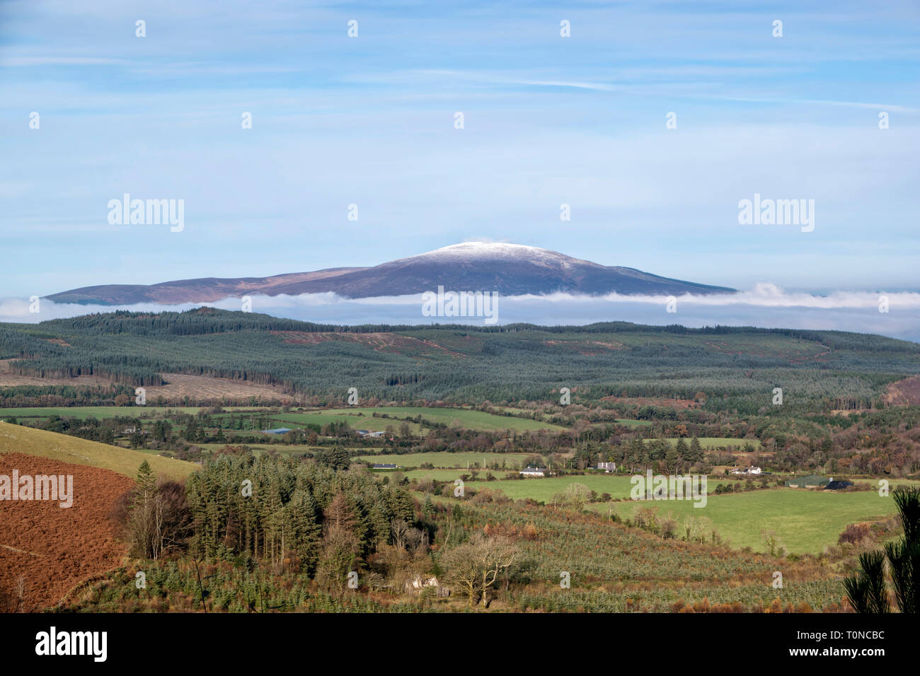Slievenamon Mountain bathed in fog.Co.Tipperary,Ireland Stock Photo - Alamy