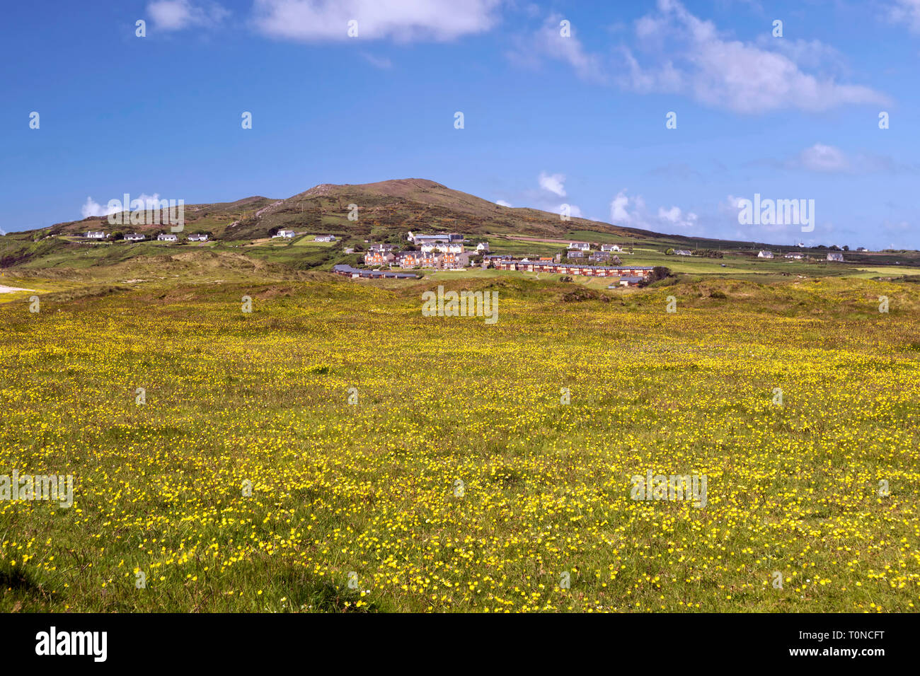 Panorama of the village of Cannawee on Mizen Head Peninsula,Co.Cork ...