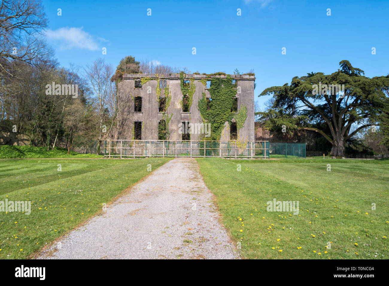 Co kilkenny ireland hi-res stock photography and images - Alamy