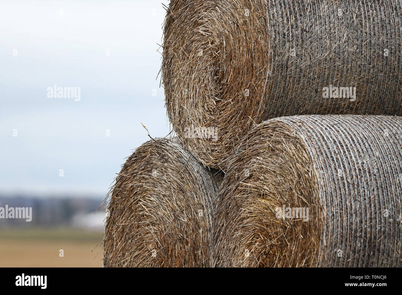 Swedish agriculture. Photo Jeppe Gustafsson Stock Photo - Alamy