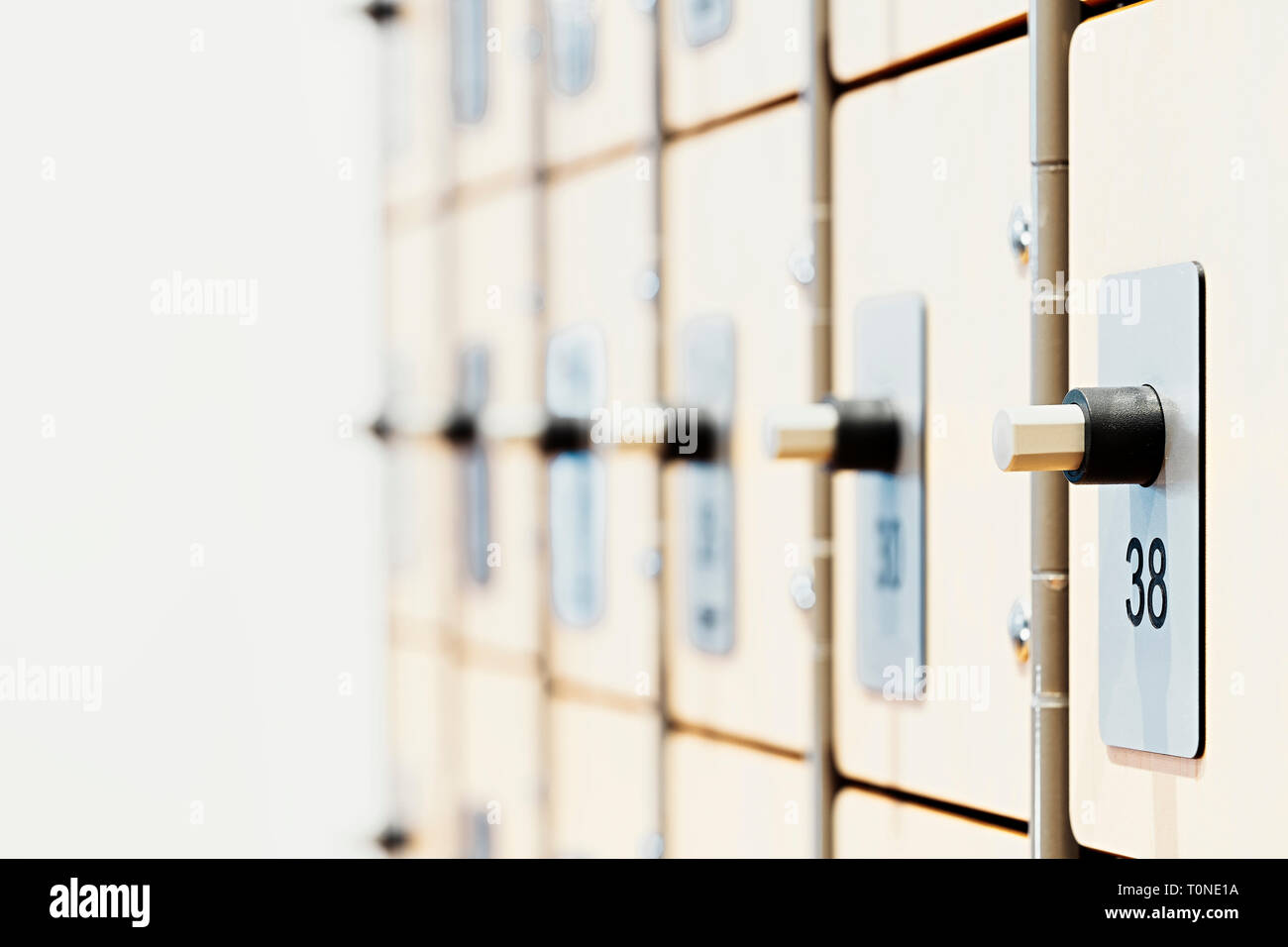 Wooden Lockers with electronic locks and fingerprint scanners in modern ...