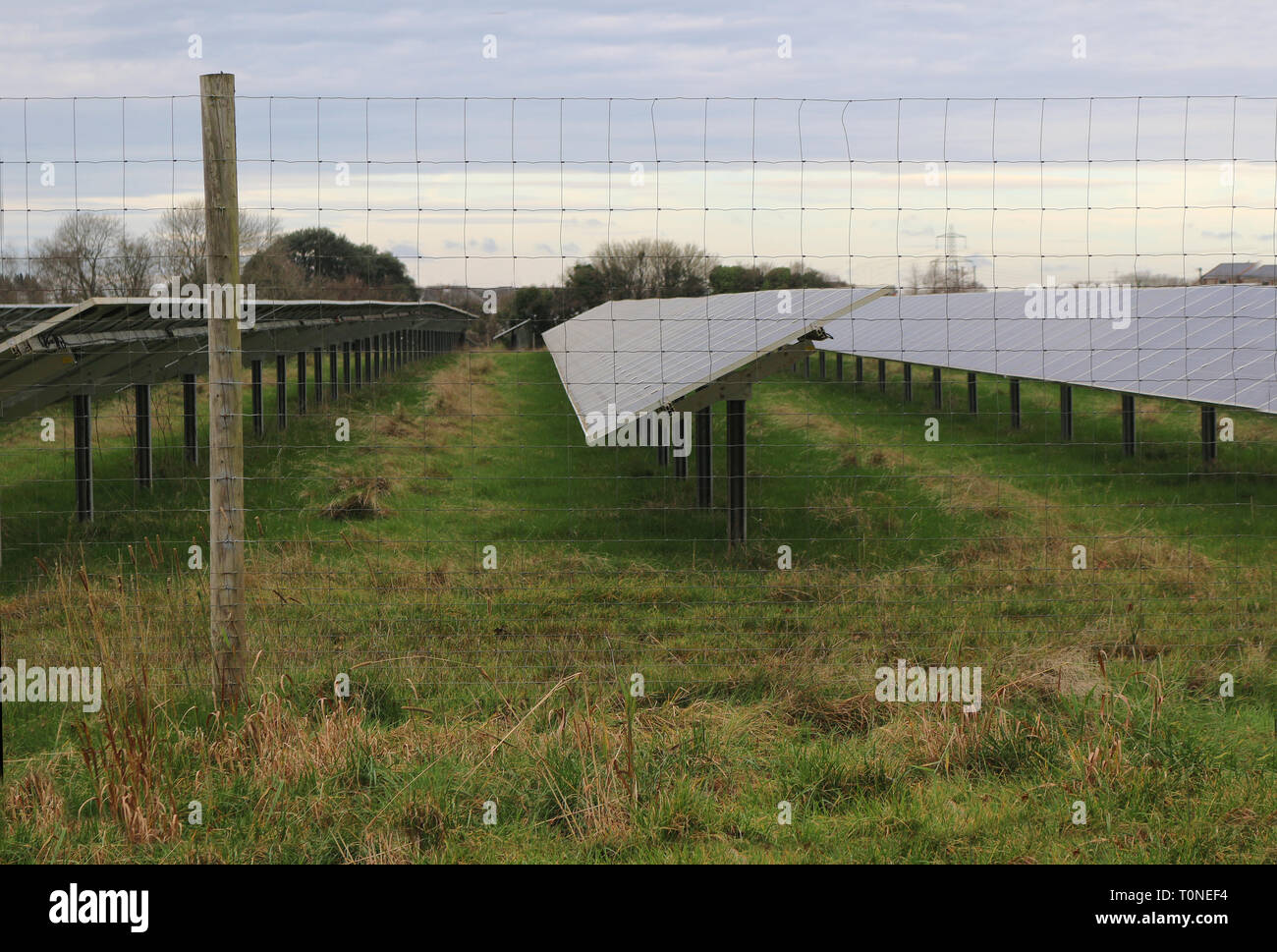 Solar electric generating station hi-res stock photography and images ...