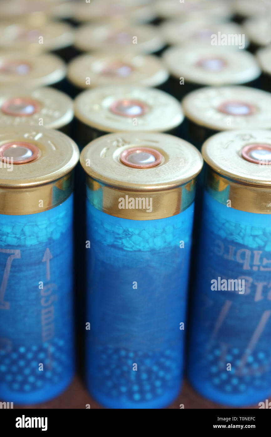 Blue shotgun ammunition hi-res stock photography and images - Alamy