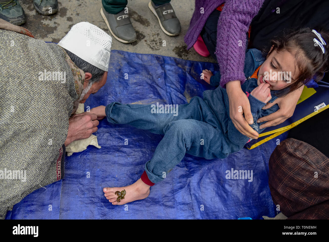 Indian leech hi-res stock photography and images - Alamy
