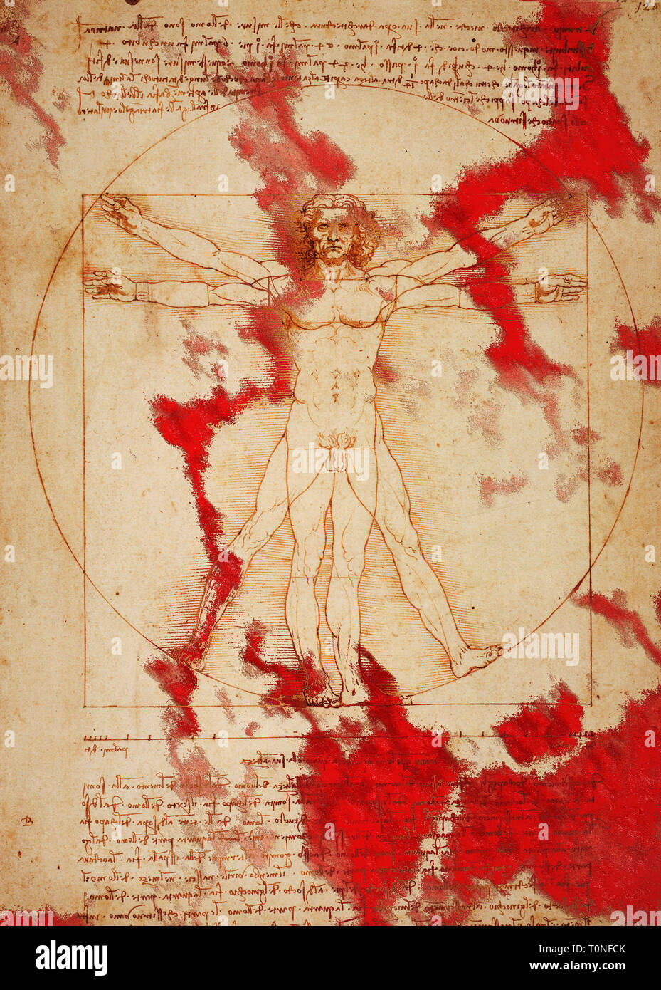 Vitruvian man drawing hi-res stock photography and images - Alamy