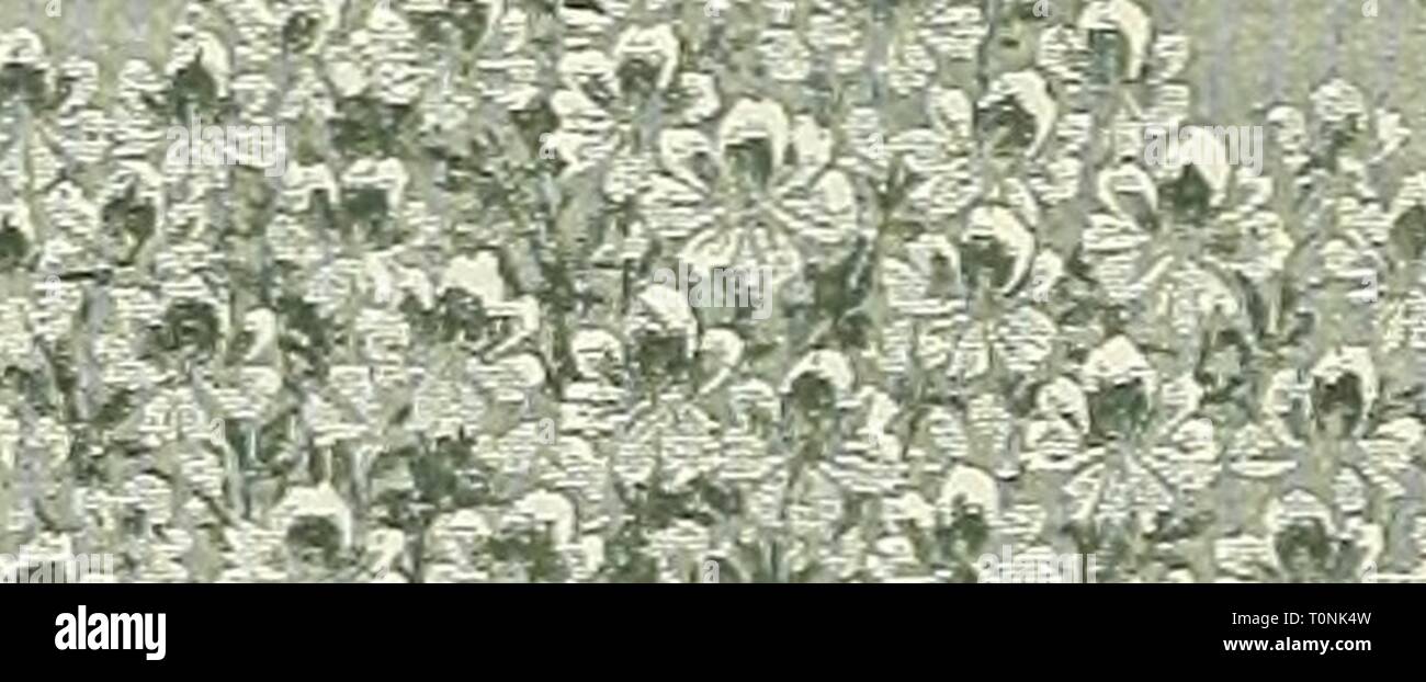 Abridged list hi-res stock photography and images - Alamy