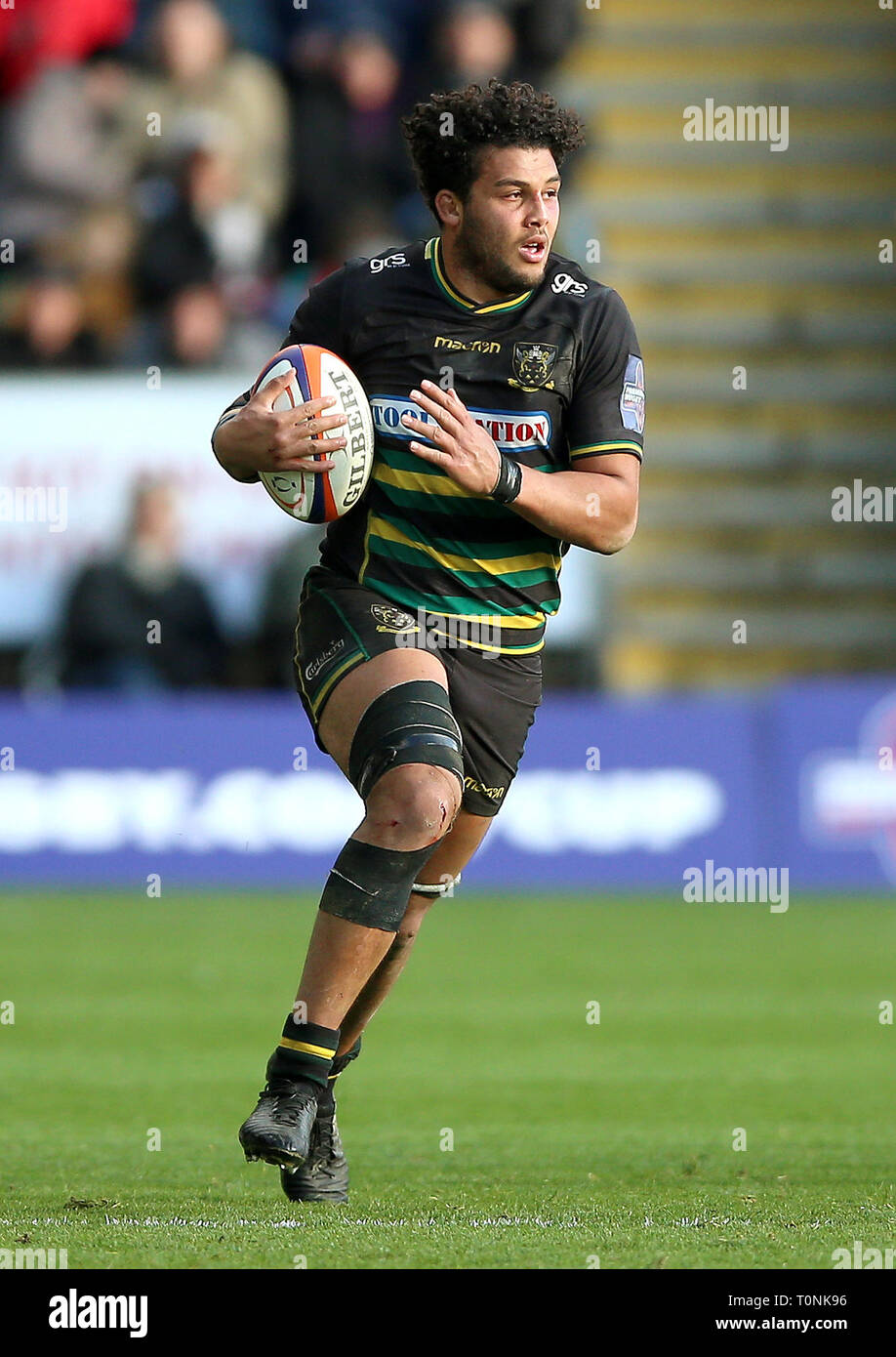 Northampton Saints' Lewis Ludlam Stock Photo - Alamy