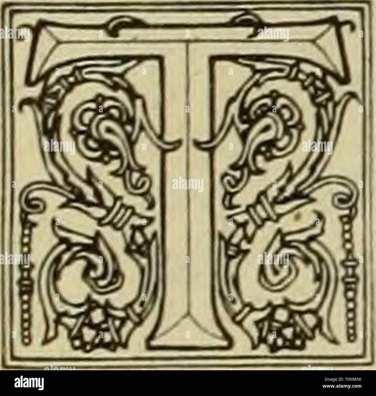 Dr david roberts hi-res stock photography and images - Alamy