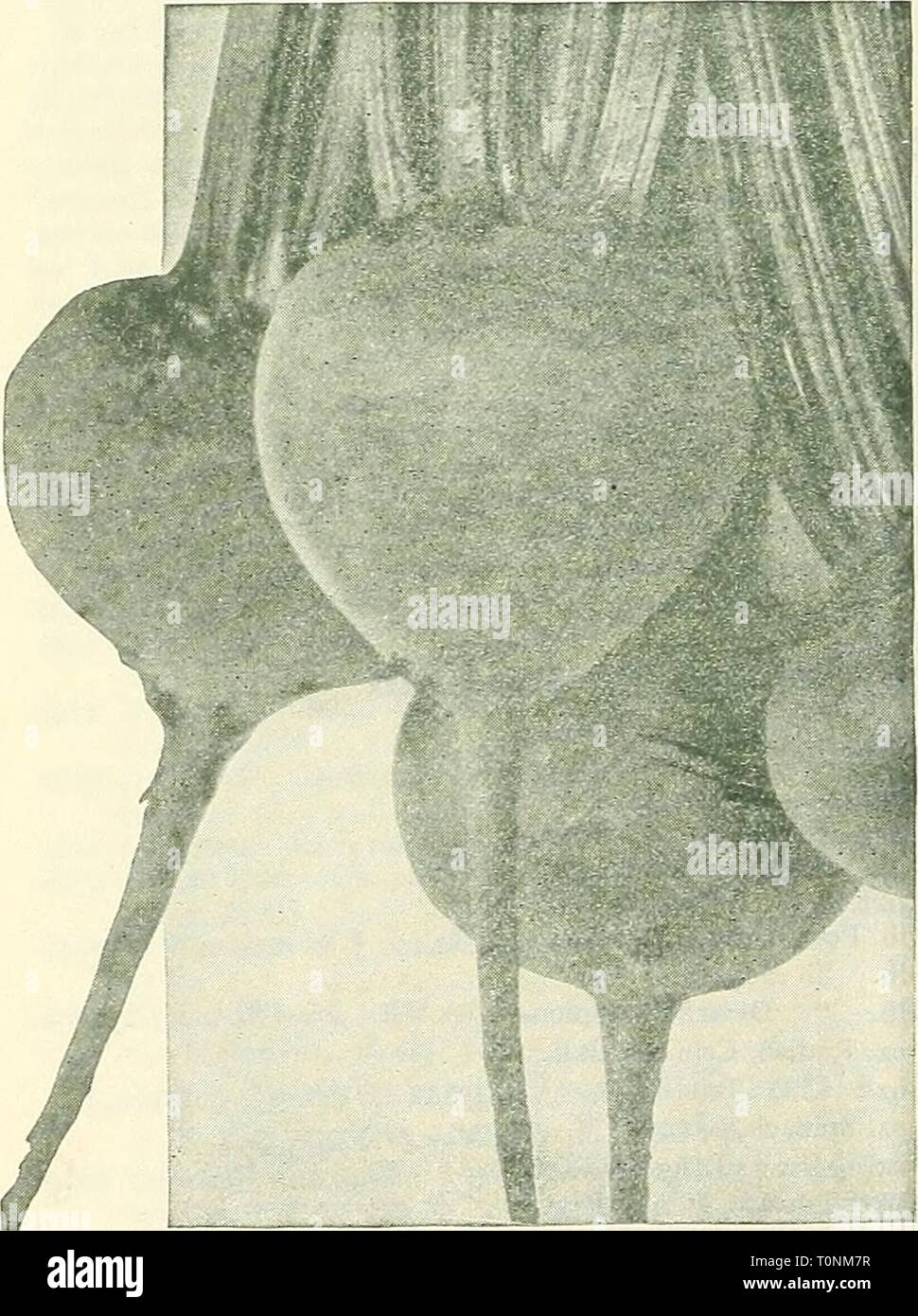 Abridged list hi-res stock photography and images - Alamy