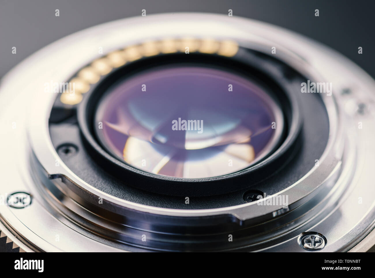 Selective focal hi-res stock photography and images - Alamy