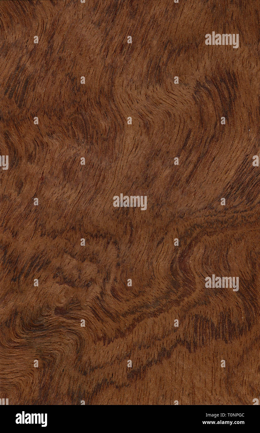 Brown natural surface with textured streaks on the surface.Texture ...