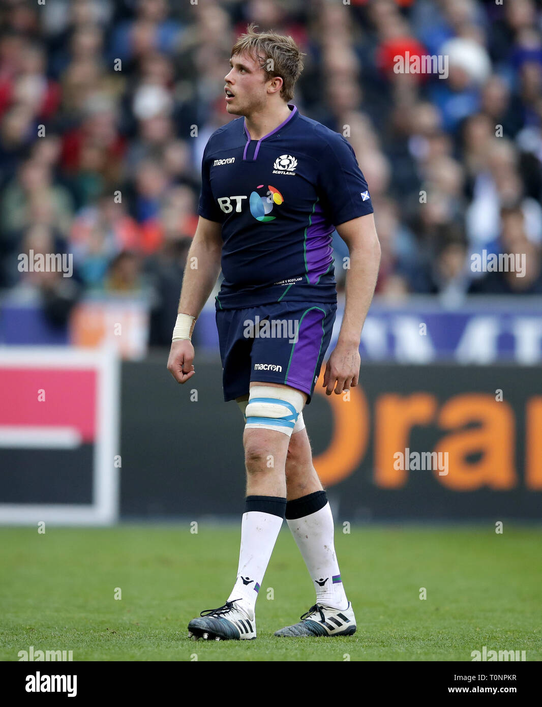 Scotland's Jonny Gray Stock Photo - Alamy