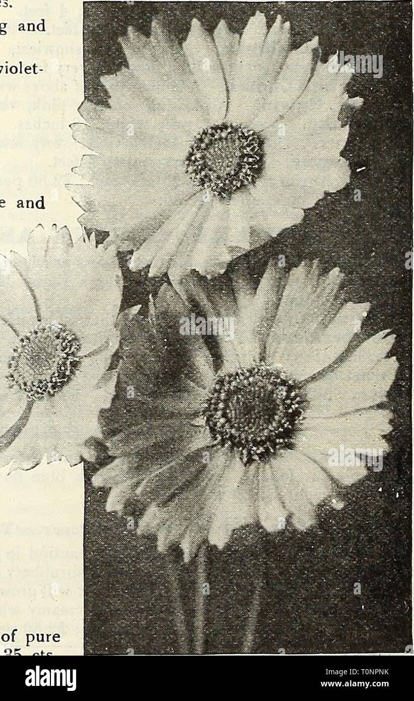 In axillary panicles hi-res stock photography and images - Alamy