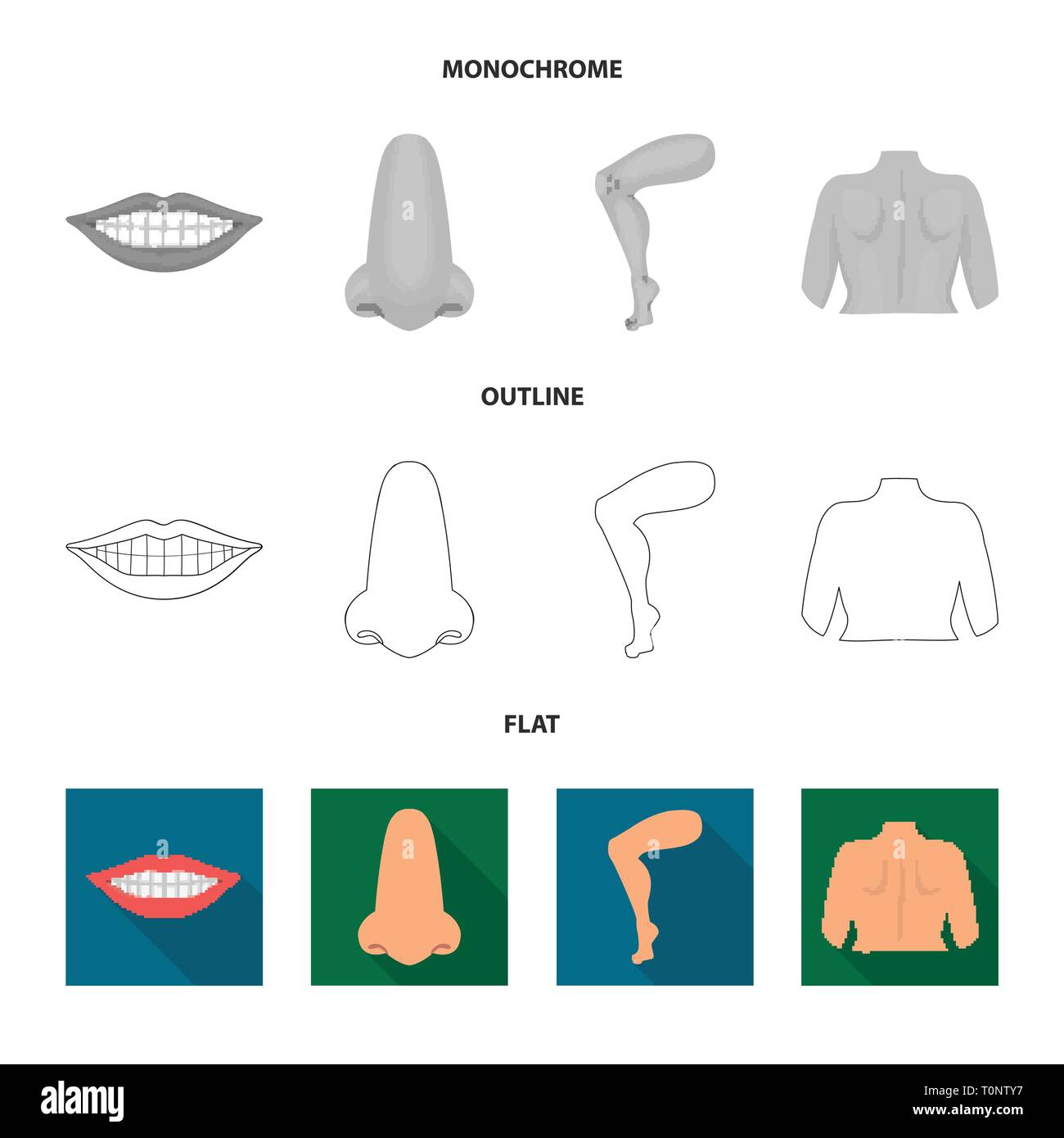 Isolated object of body and part symbol. Set of body and anatomy stock ...