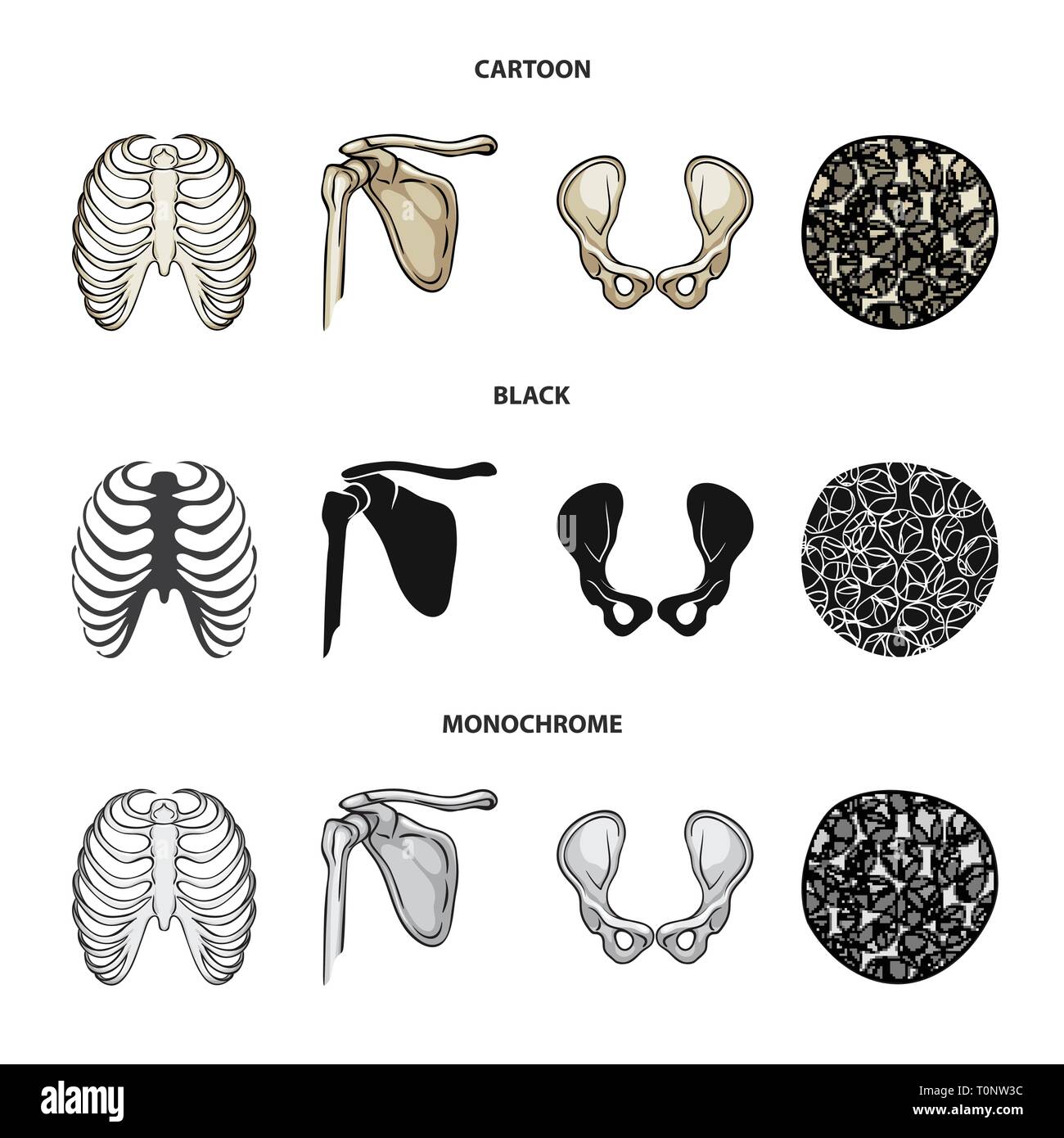 Musculoskeletal joints Stock Vector Images - Alamy