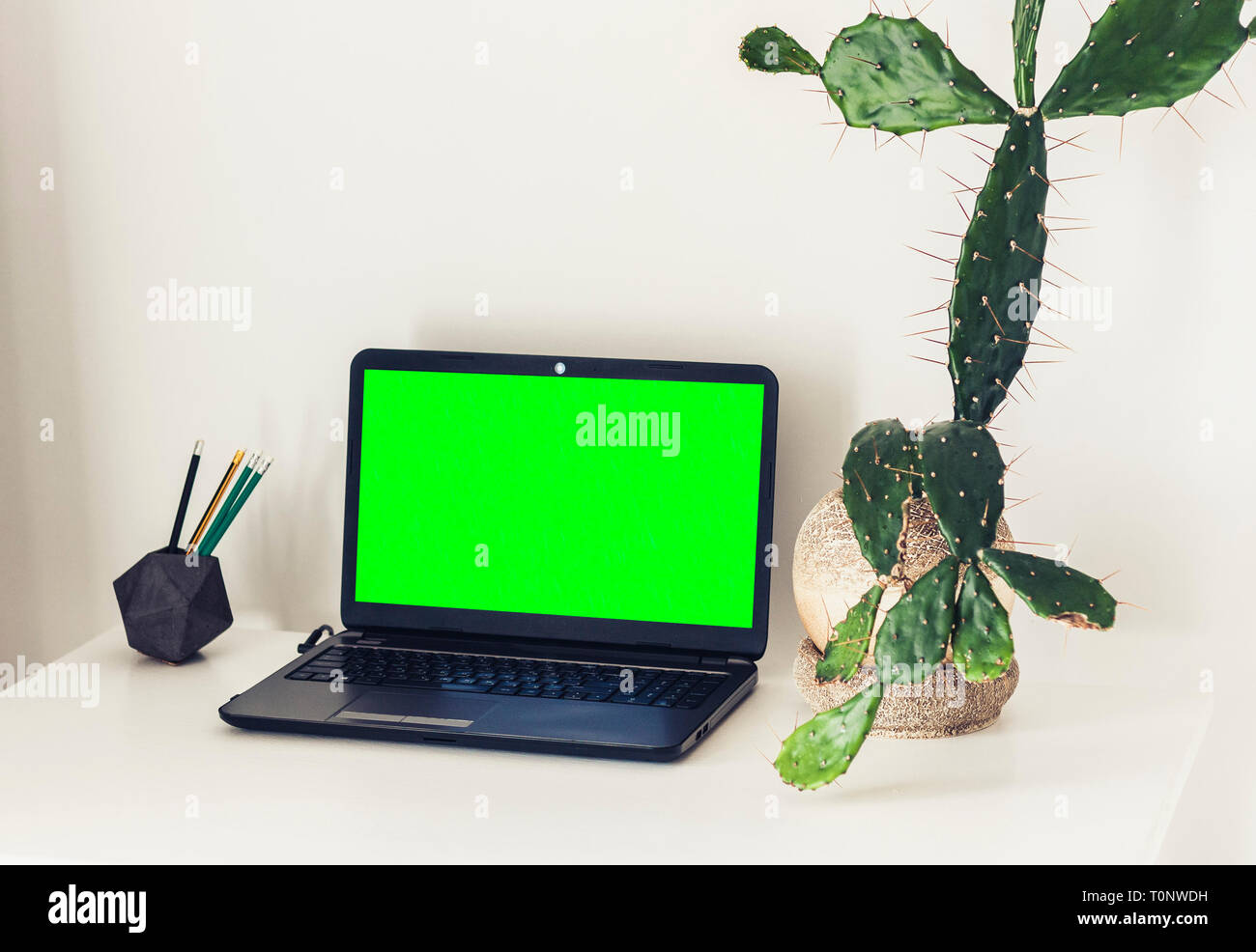 Green screen laptop and cactus in clay pot on white table, education ...