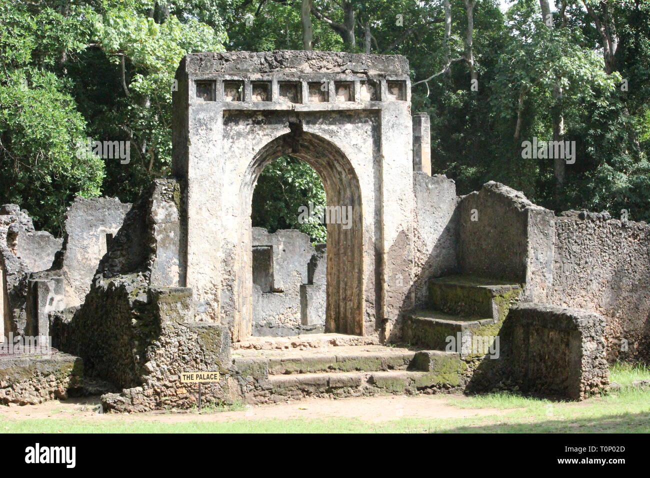 Nationalpark gedi hi-res stock photography and images - Alamy