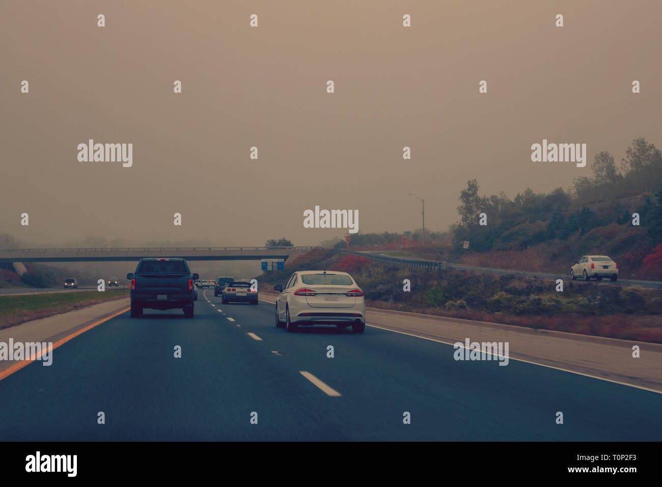 Traffic on highway in fog mist. Cars on freeway road at evening in ...