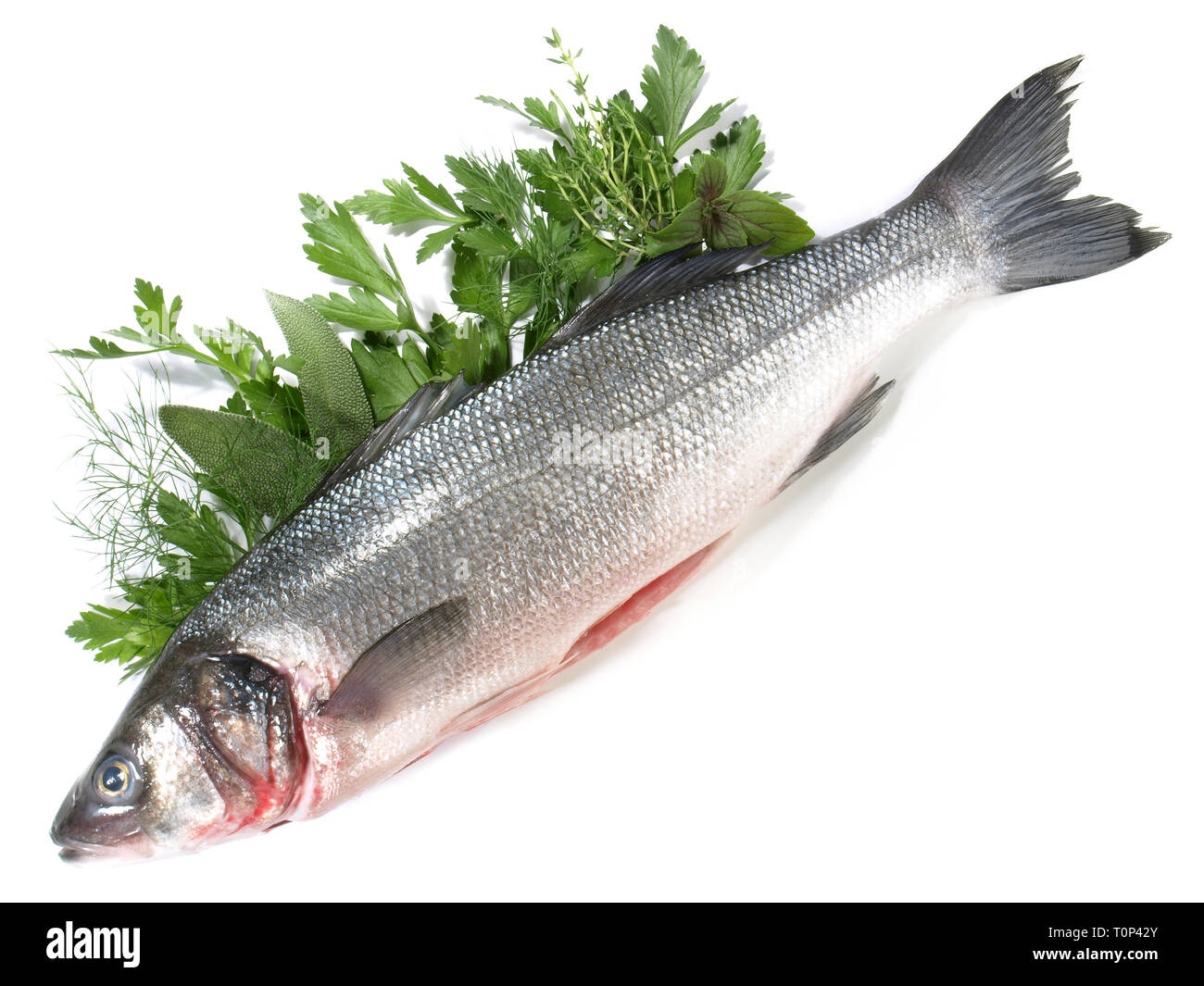 Wolf farm Cut Out Stock Images & Pictures - Alamy