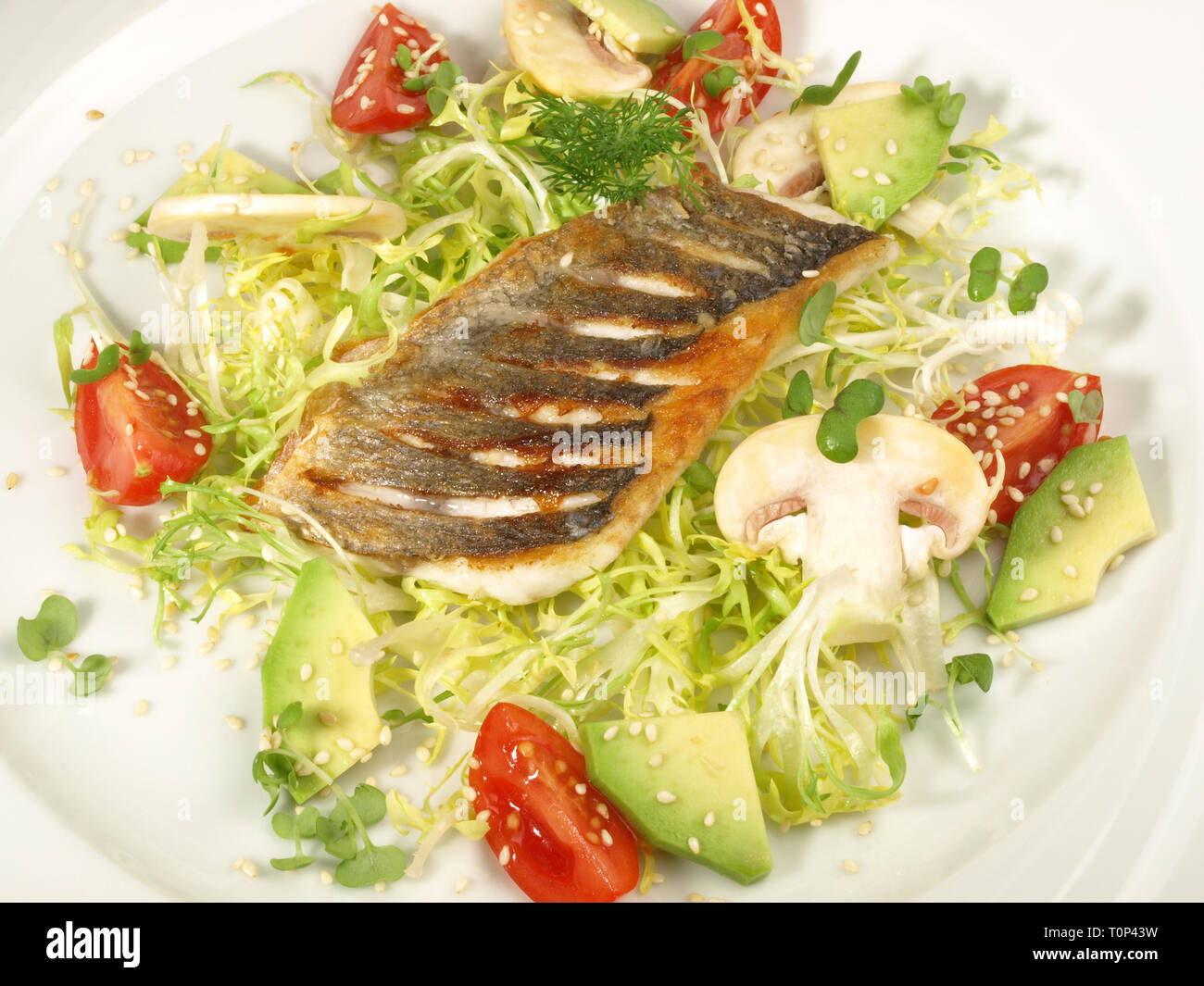 Wolf fish hi-res stock photography and images - Alamy