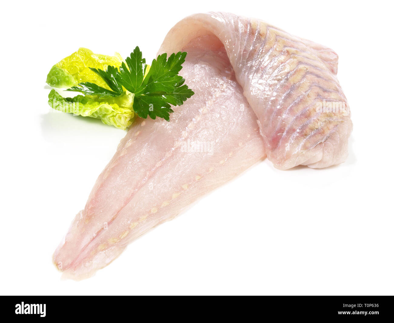 Pollack white background hi-res stock photography and images - Alamy