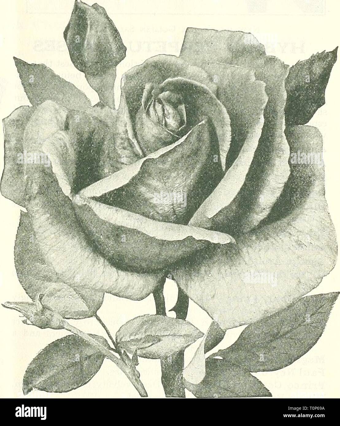 Abridged list hi-res stock photography and images - Alamy