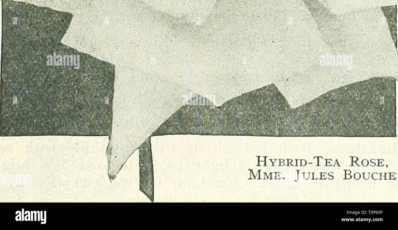 Dreer's abridged list 1930 (1930 Stock Photo - Alamy