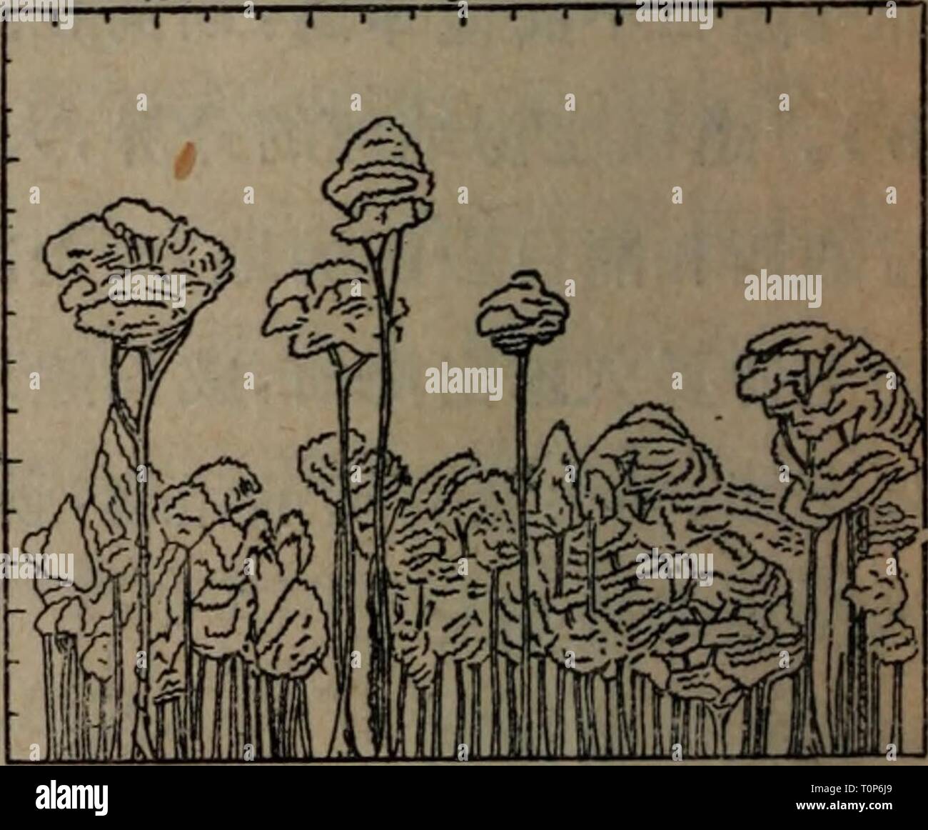 dong nan ya di li Stock Photo - Alamy