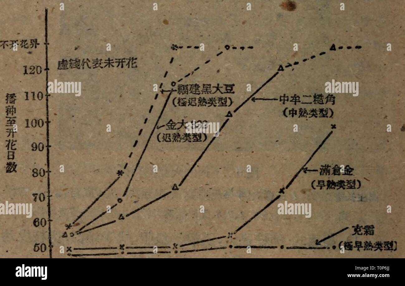 dou lei zuo wu (19598 Stock Photo - Alamy