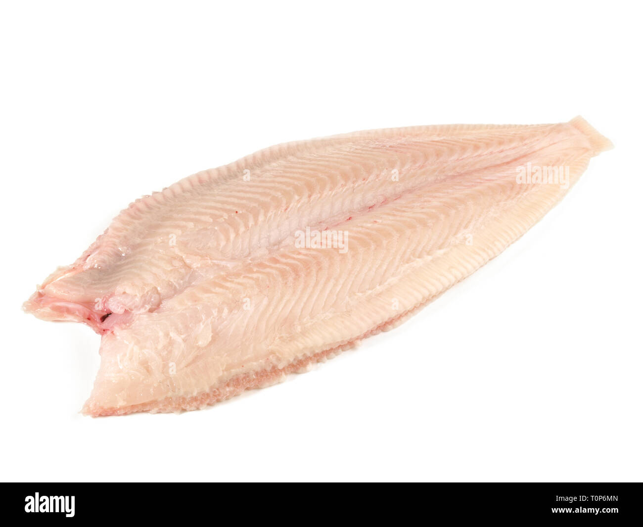 Sole without Skin - Flatfish on Withe Stock Photo - Alamy
