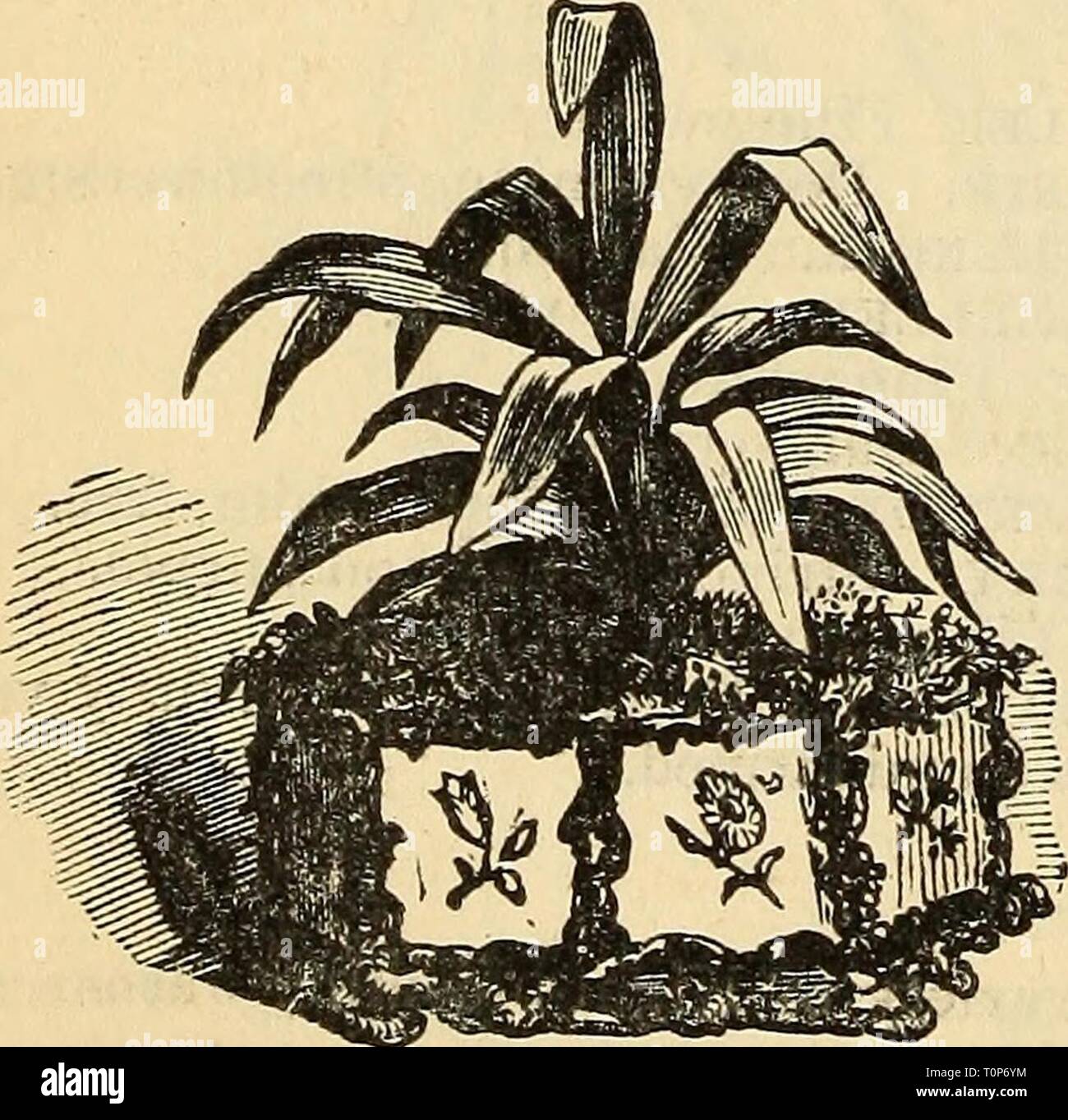 Dreers descriptive catalogue hi-res stock photography and images - Alamy