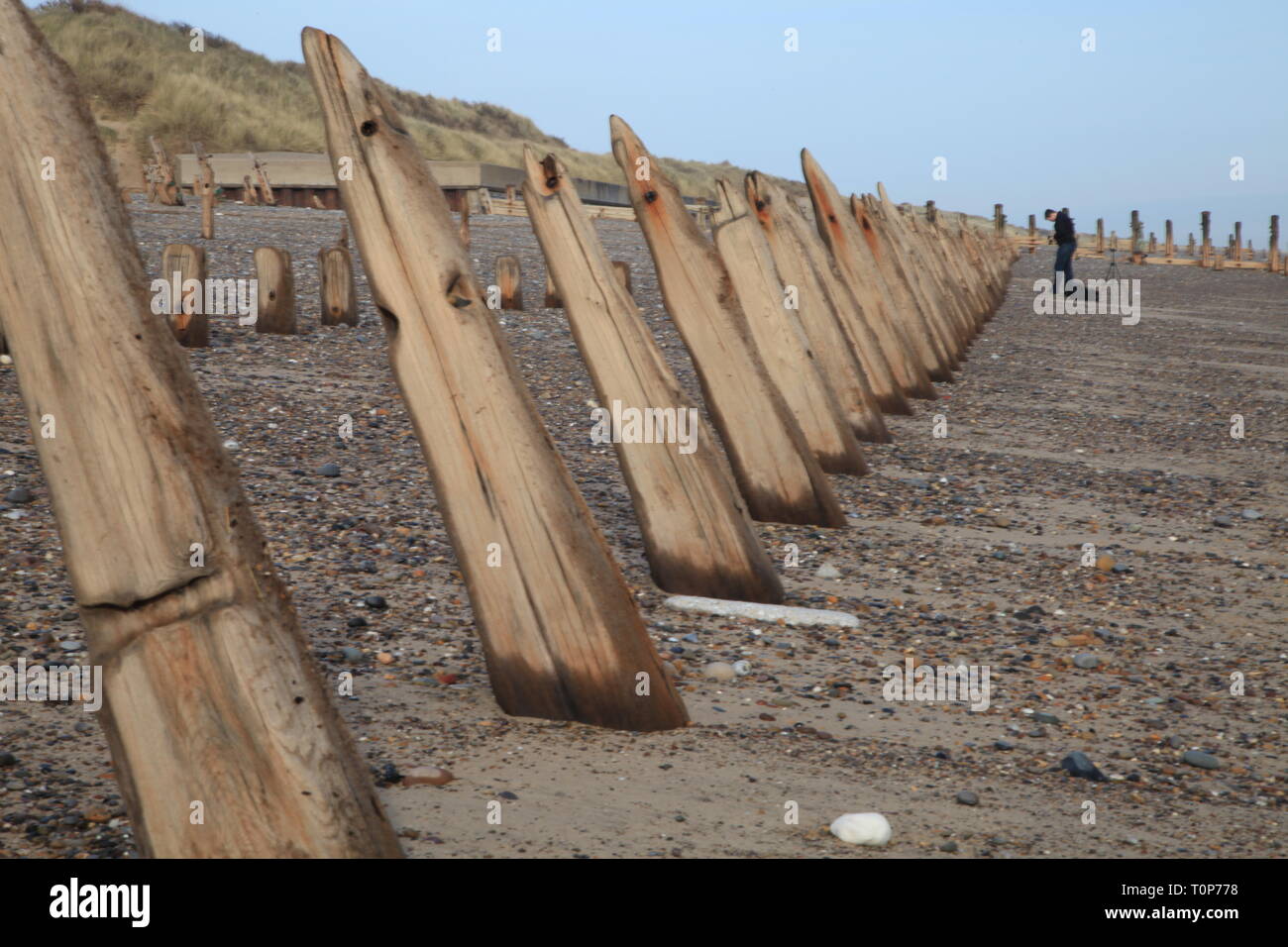 Spurn head nature reserve hi-res stock photography and images - Alamy