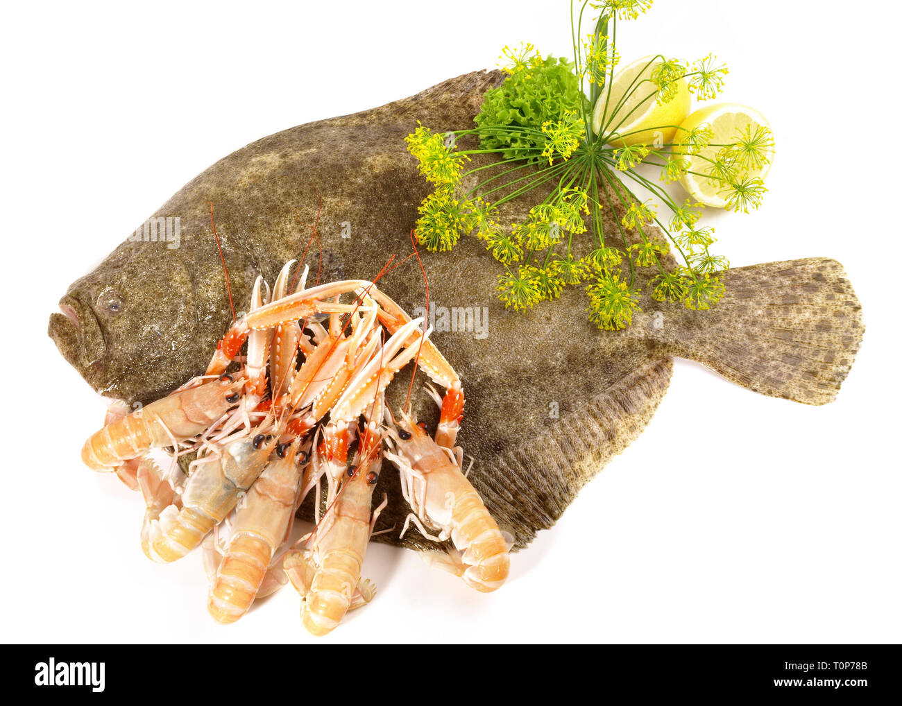 Turbot fish hi-res stock photography and images - Alamy