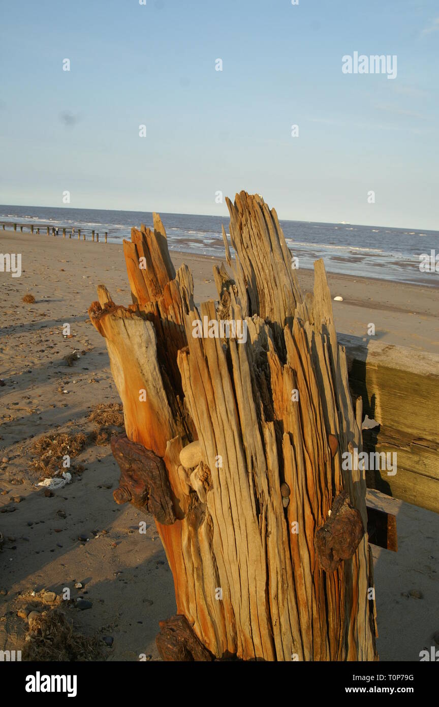 Squire sand hi-res stock photography and images - Alamy