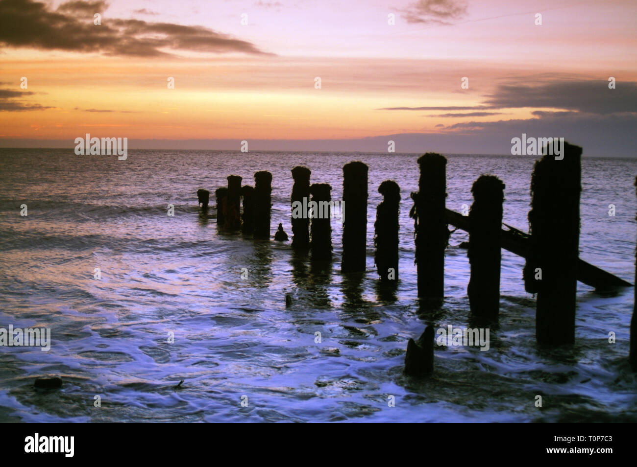 Spurn bird sanctuary hi-res stock photography and images - Alamy