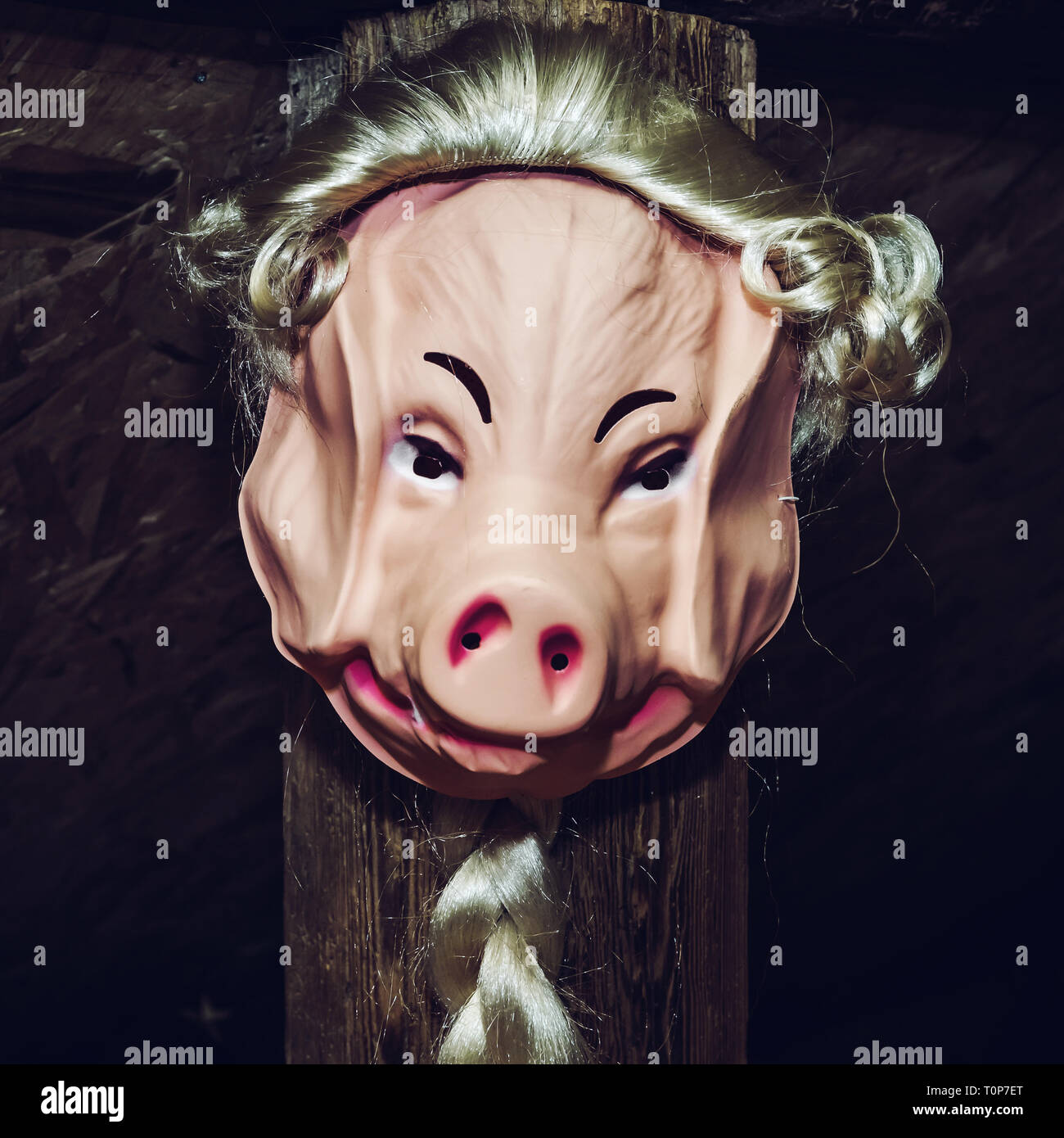 Pig masks and festival hi-res stock photography and images - Alamy