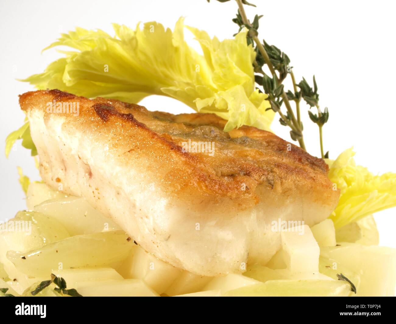 Grilled zander walleye fish hi-res stock photography and images - Alamy