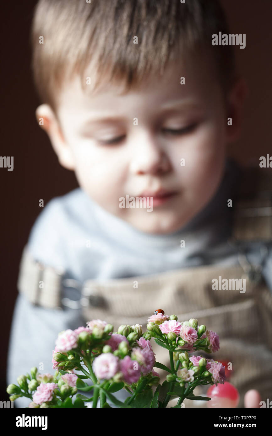 Toddler child looking at a ladybug. Little scientist entomologist ...