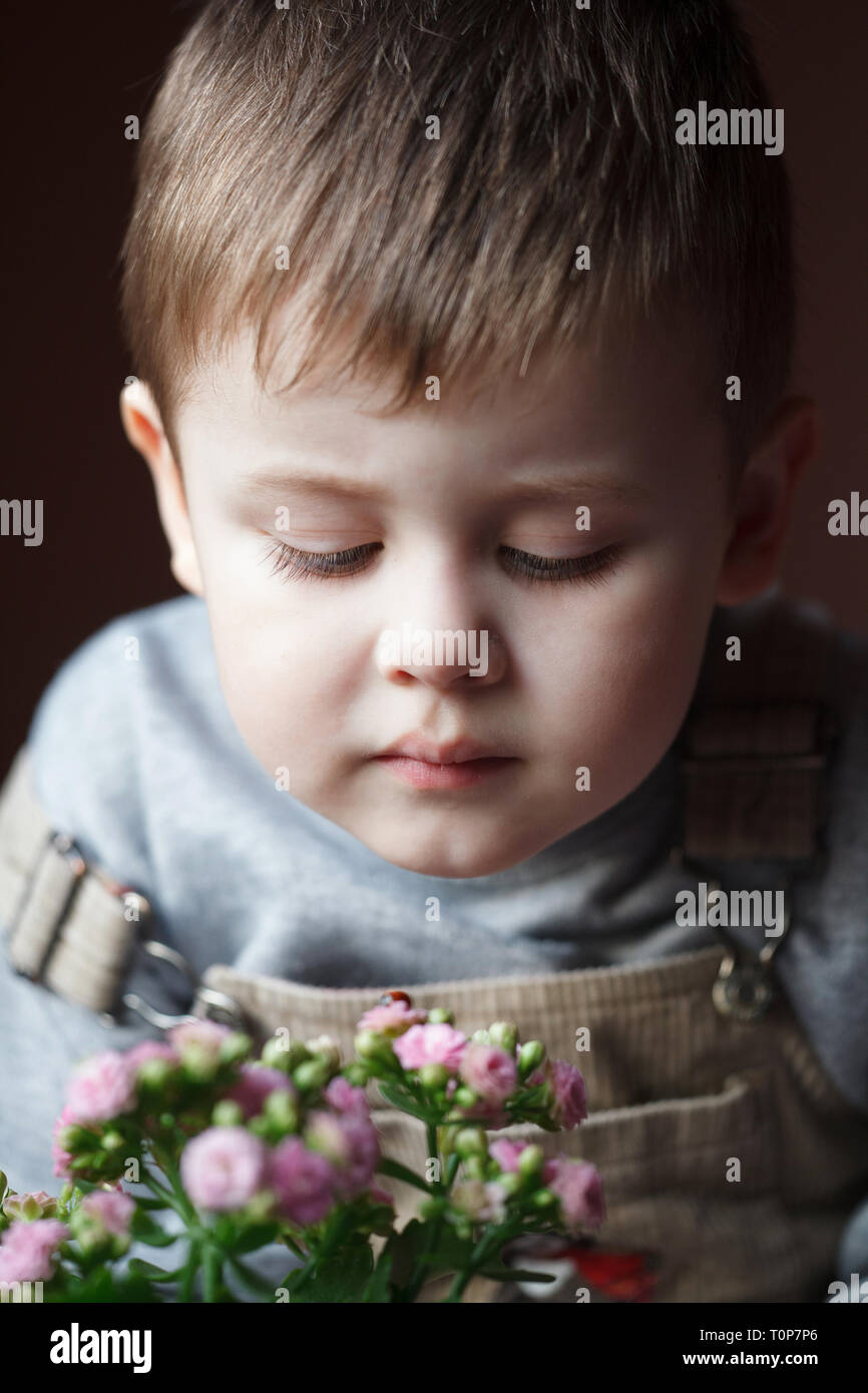 Entomologist looking at insects hi-res stock photography and images - Alamy