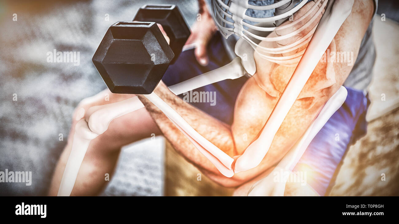 Illustration of bones and muscles of man while exercising Stock Photo ...