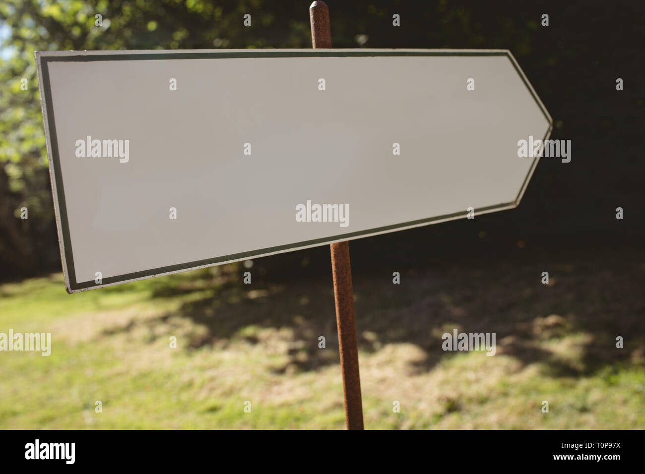 Blank forest hi-res stock photography and images - Alamy