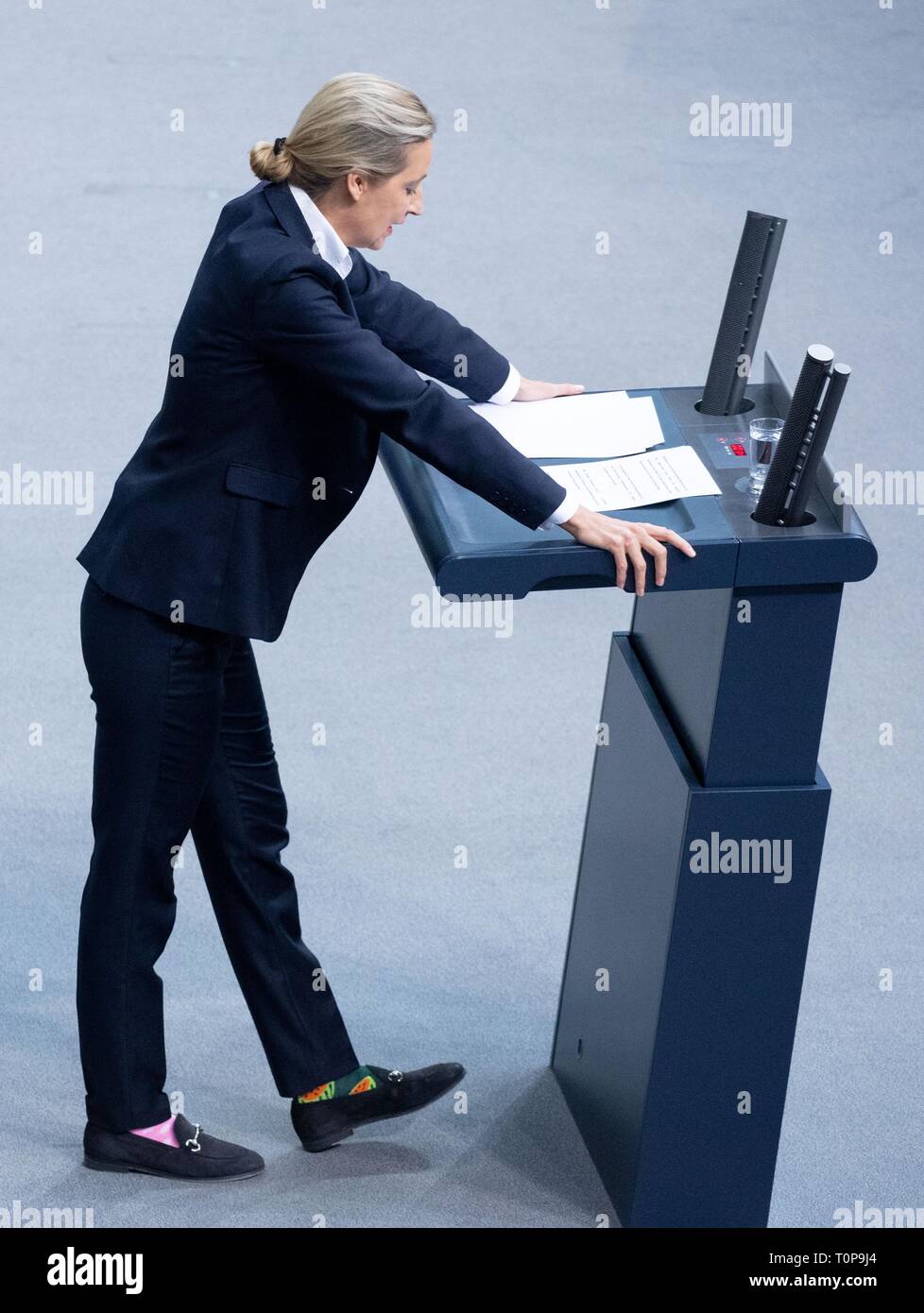 Berlin, Germany. 21st Mar, 2019. Alice Weidel, leader of the AfD ...