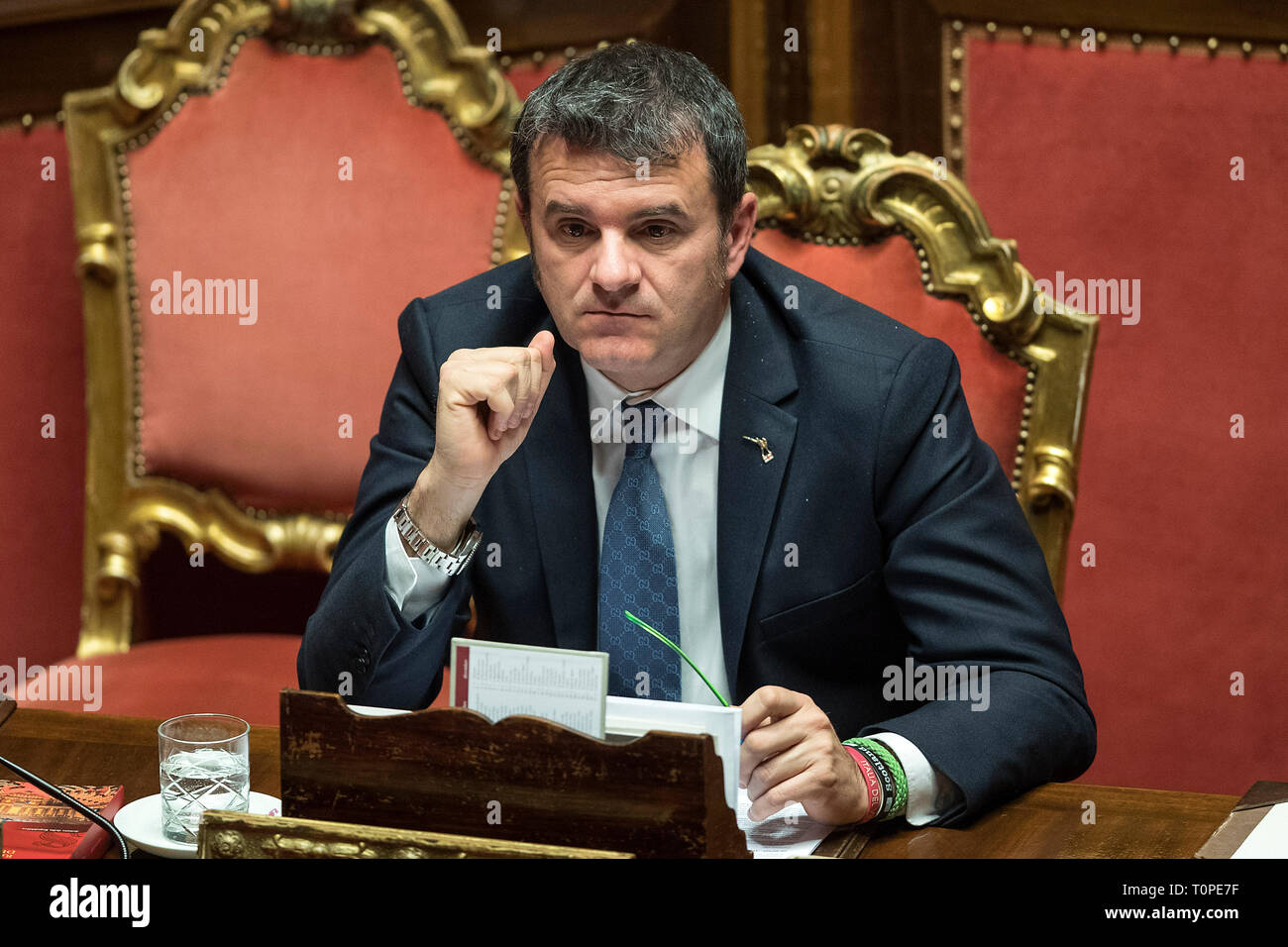 Foto Roberto Monaldo / LaPresse 21-03-2019 Roma Politica Senato ...