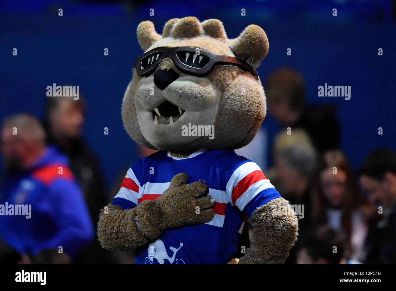 Wolves mascot hi-res stock photography and images - Alamy