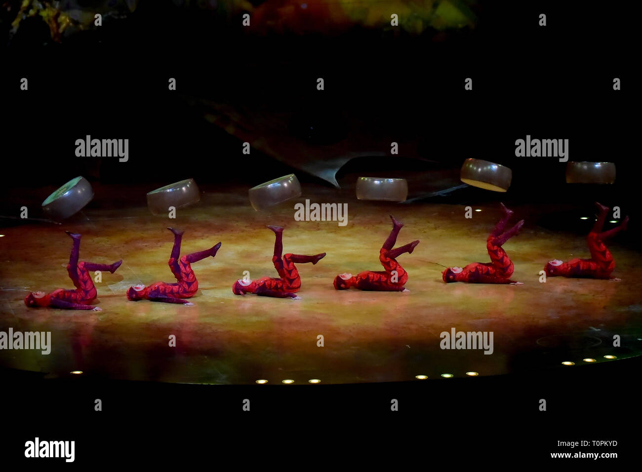 Rio de Janeiro, Brazil. 21st Mar, 2019. OVO SHOW CIRQUE DU SOLEIL, RJ ...